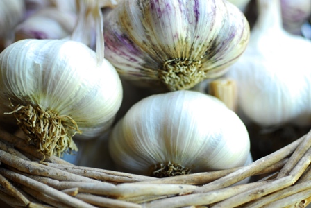 Park Hill Garlic – Low Tox Life