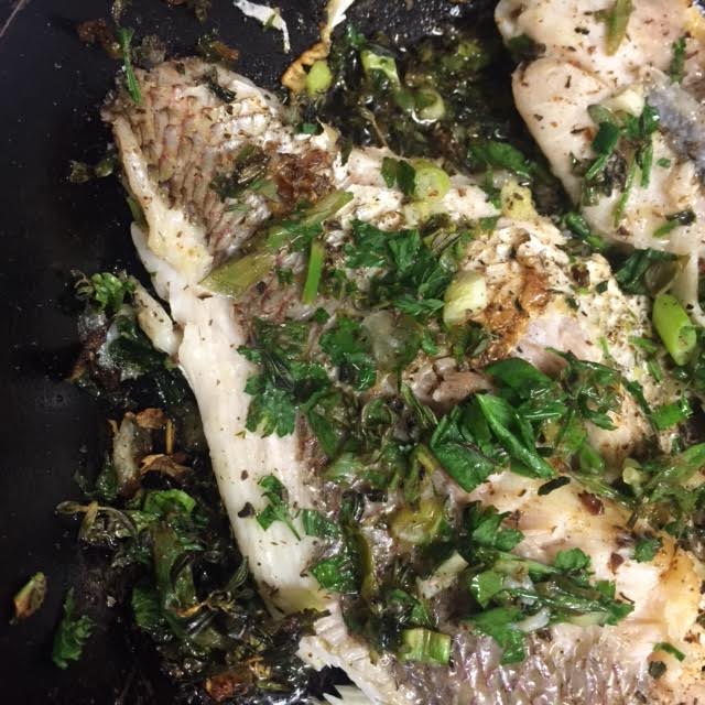 Super simple snapper – Low Tox Life