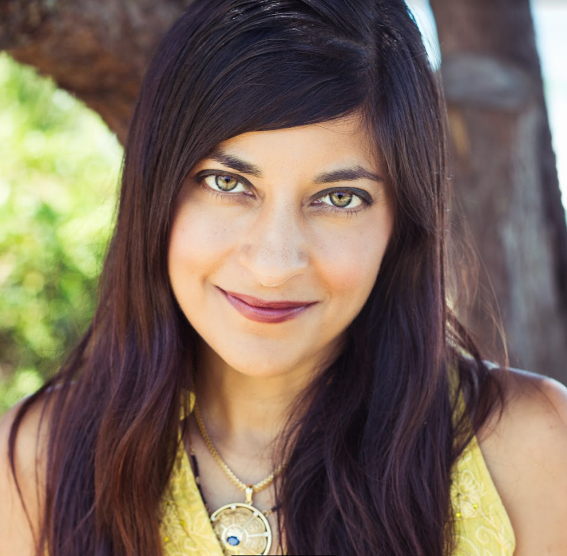 Show #259 – Dr Shamini Jain on Disease Healing and Prevention through ...